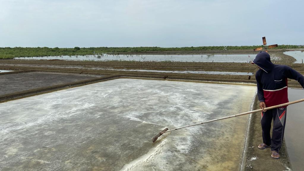 Produksi Garam Turun Capai Ratusan Ribu Ton